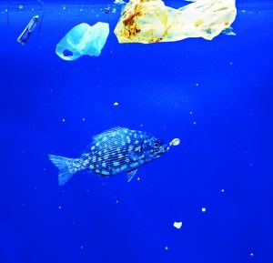 How Blue Planet II helped to change the world - ICON Magazine