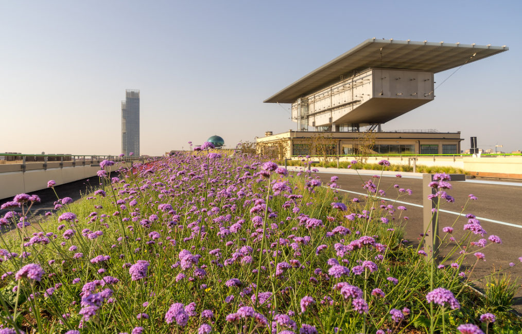 Old Fiat factory rooftop transformed into public garden - ICON Magazine