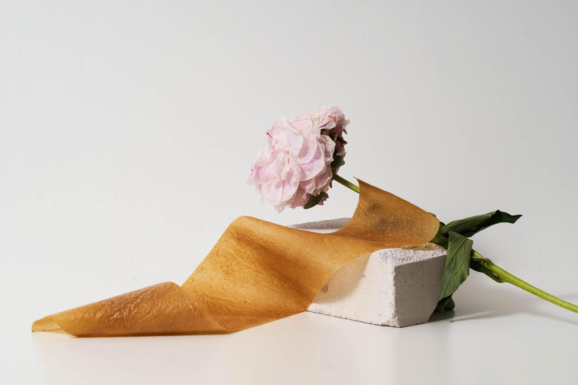 Aalto University graduate Irene Purasachit creates practical new ...