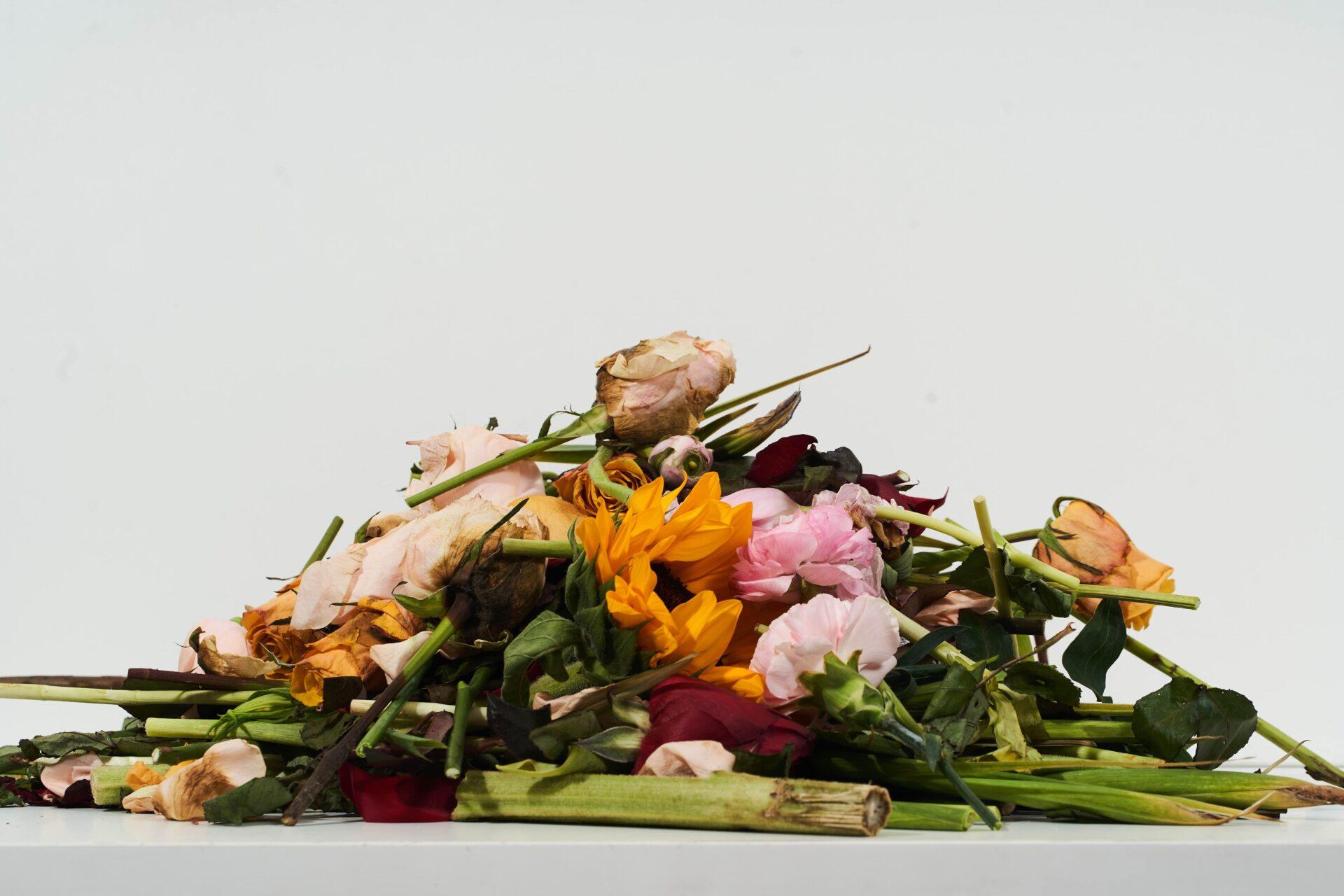 Aalto University graduate Irene Purasachit creates practical new ...
