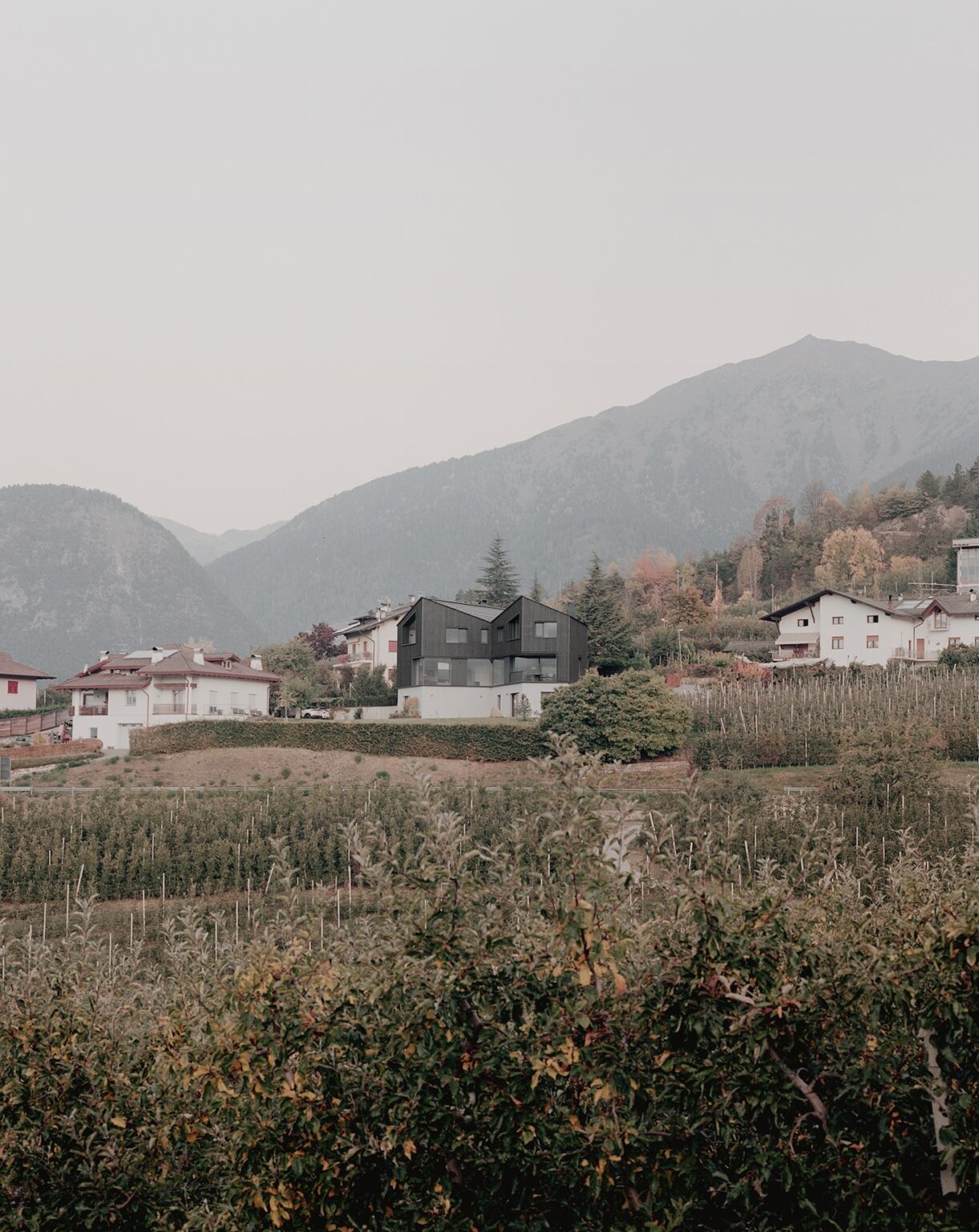MoDusArchitects completes contemporary Alpine home in Val di Non - ICON ...